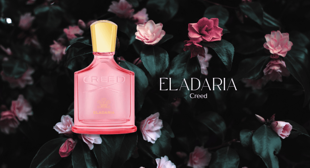 Creed Silver Mountain Water - A Fresh and Invigorating Fragrance ...