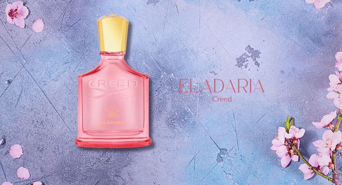 Creed Eladaria - An In-Depth Review