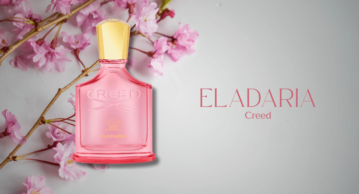Creed Eladaria - An In-Depth Review