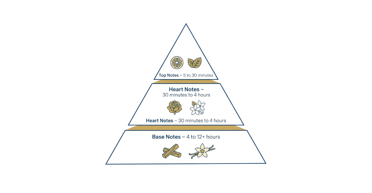 The Ultimate Guide to Fragrance Notes: How Perfumes Are Built, Why They ...